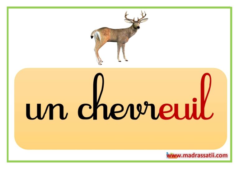 affichage de classe - 4 ème année - des mots avec ouil euil ouille ...