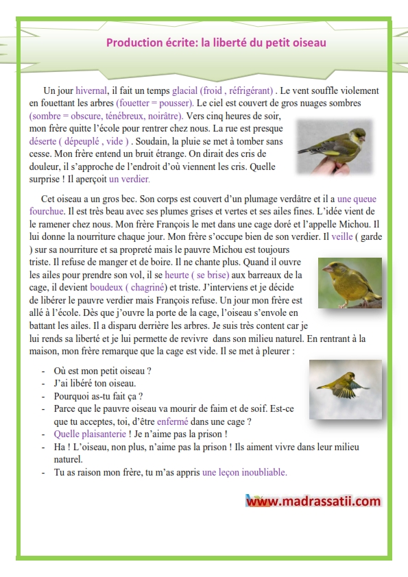 production écrite- la liberté du petit oiseau - موقع مدرستي
