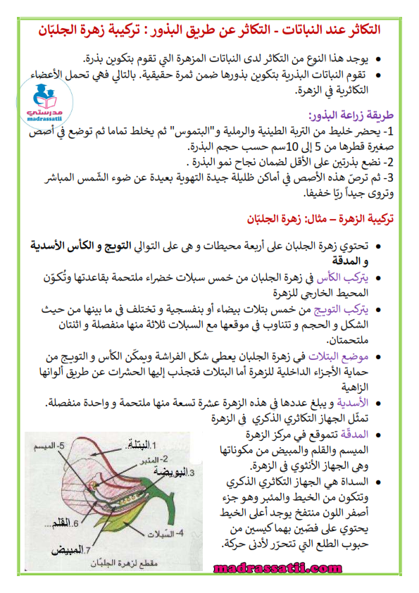 تكاثر النباتات Archives موقع مدرستي